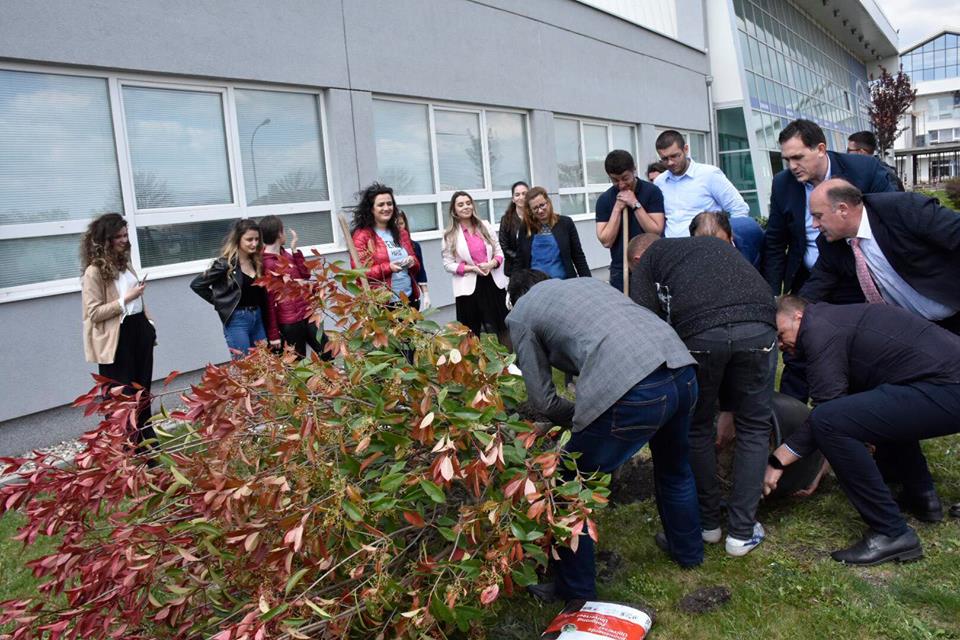 Në Ditën e Tokës, UBT i bashkohet nismës botërore për mbjelljen e drurëve Në Ditën e Tokës, UBT i bashkohet nismës botërore për mbjelljen e drurëve