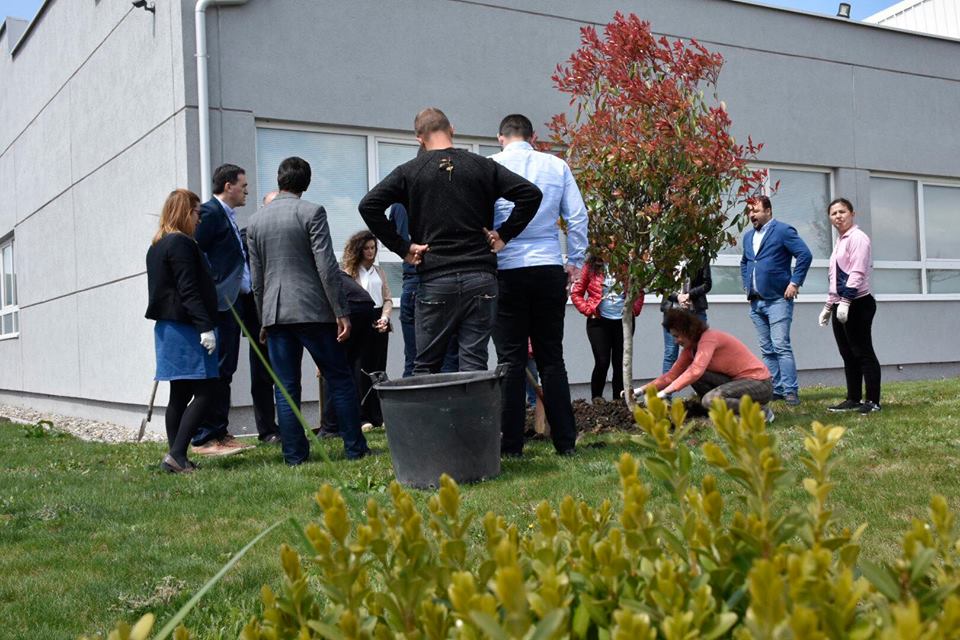 Në Ditën e Tokës, UBT i bashkohet nismës botërore për mbjelljen e drurëve Në Ditën e Tokës, UBT i bashkohet nismës botërore për mbjelljen e drurëve